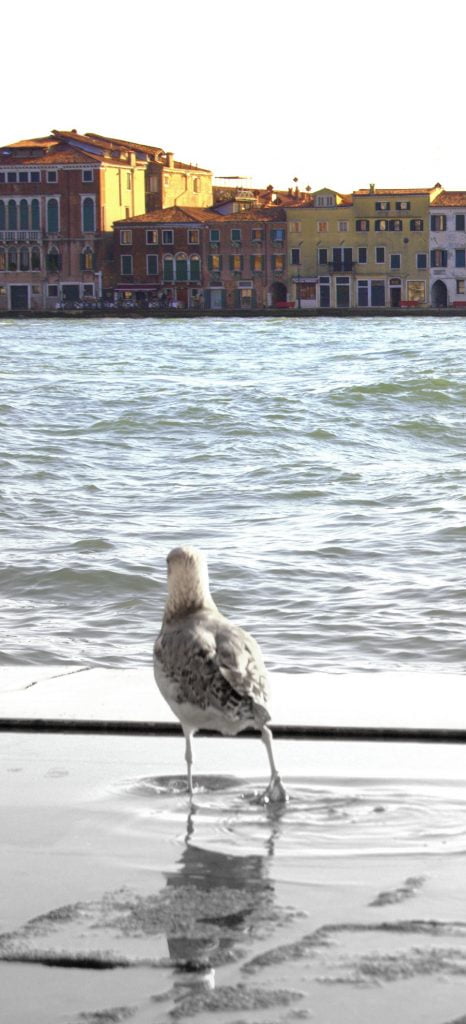 Top 10 Best Things to Do in Venice, Italy