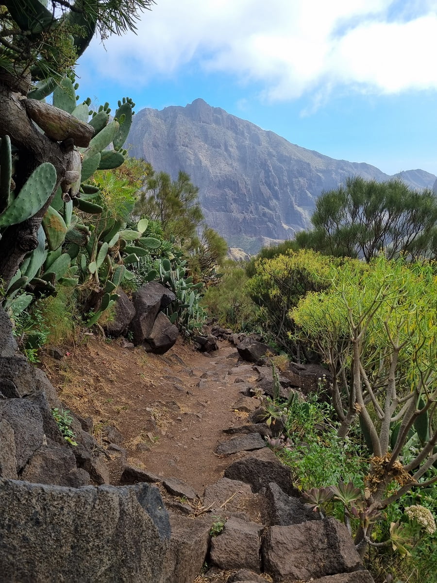 Visiting the Picturesque Village of Masca and Its Stunning Gorge